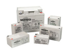 WING Battery Wing Battery